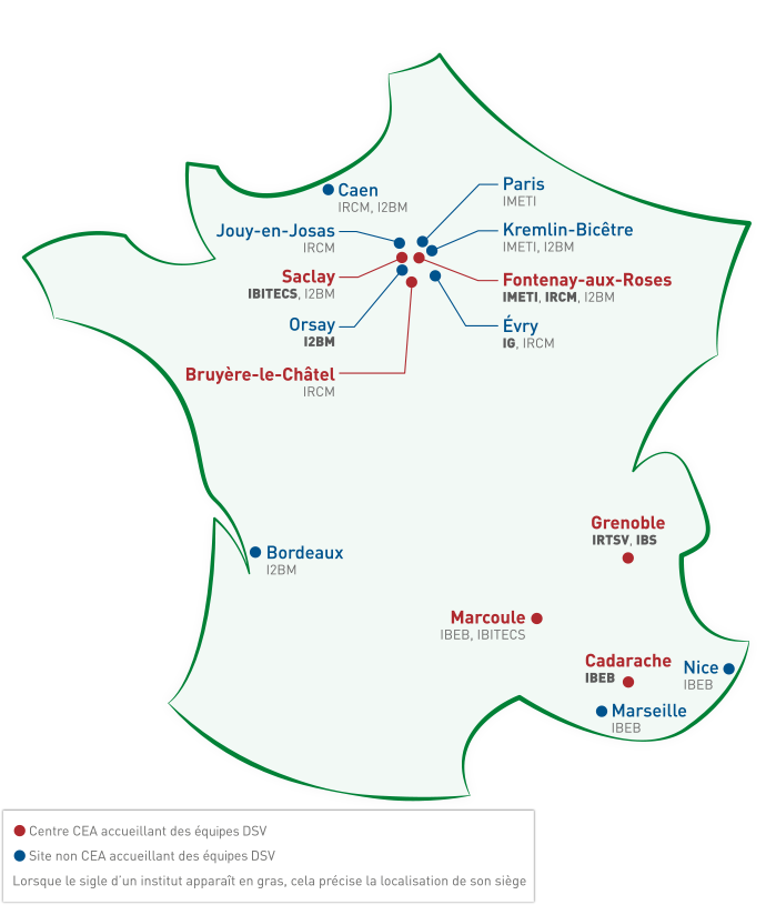 Fabrique de savoirs - Implantation de la DSV